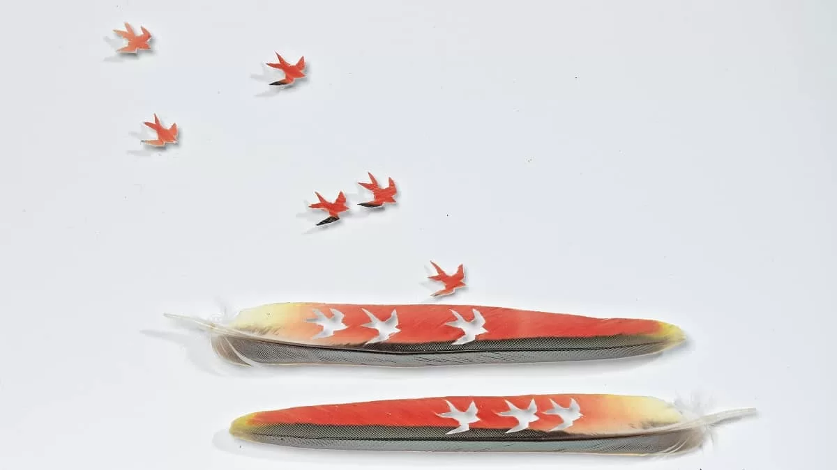 Chris Maynard Soars With Feather Art in New Art Exhibition - ARTCENTRON